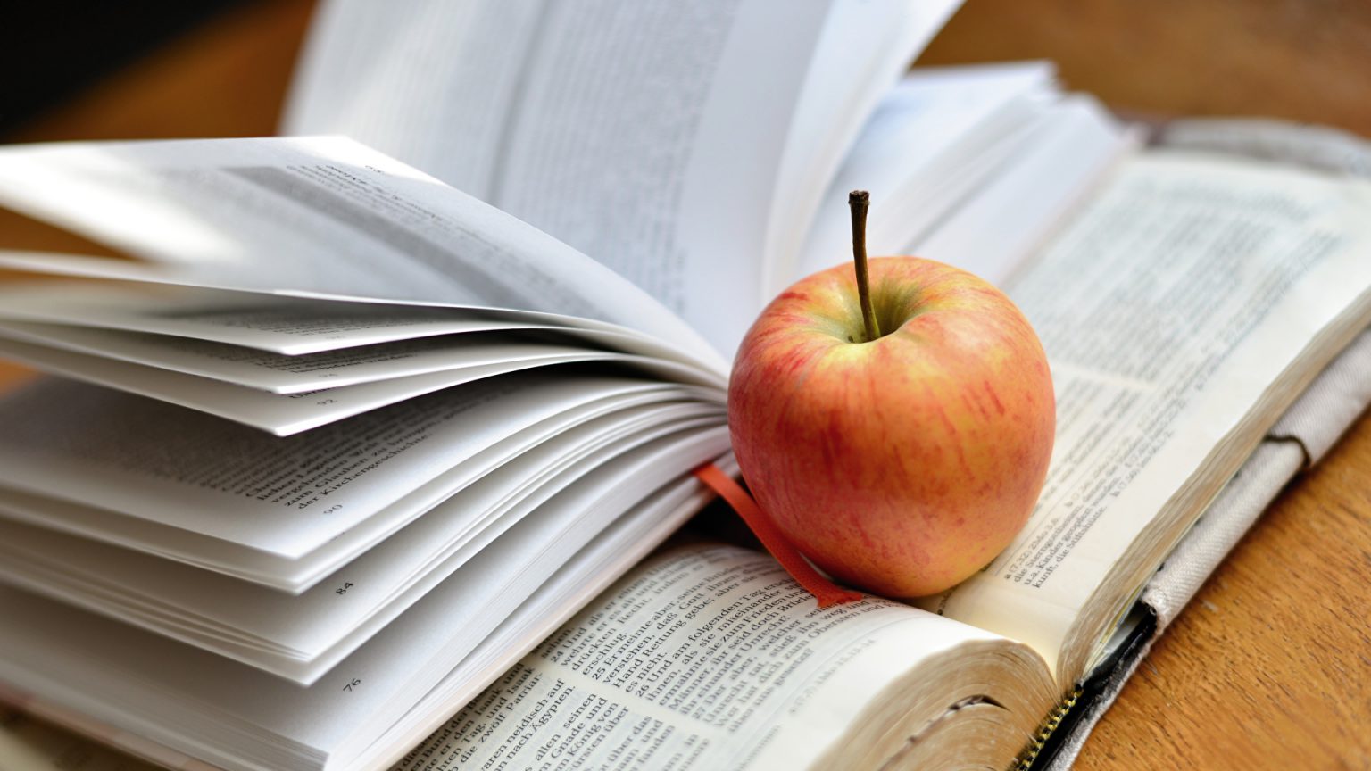 2016 Jaar Van Het Boek - Alles Over De Beste Boeken Van Het Jaar 2016 ...